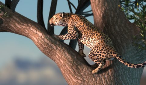 Master Creature Animation Basics in 12 Weeks | Animation Mentor