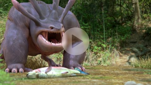 Master Creature Animation Basics in 12 Weeks | Animation Mentor