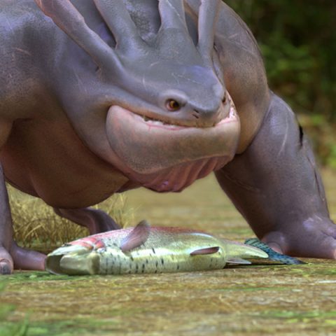 Training for Aspiring 3D Animators | Animation Mentor